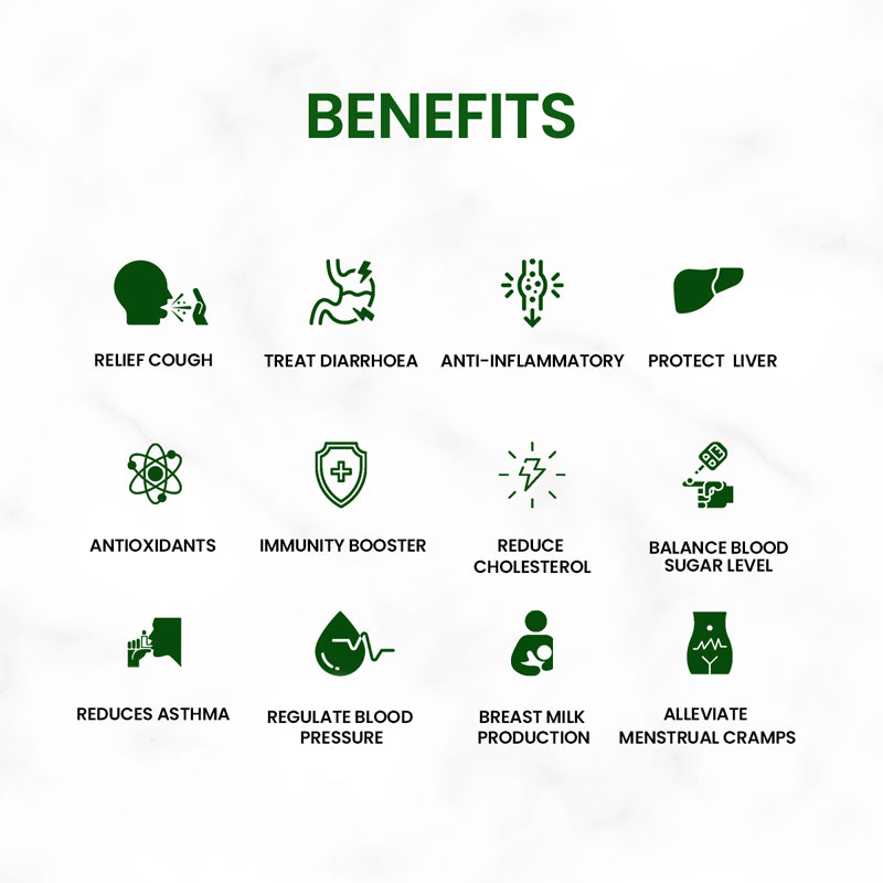 LACTOMUCH VEG. CAPSULES – Musclife